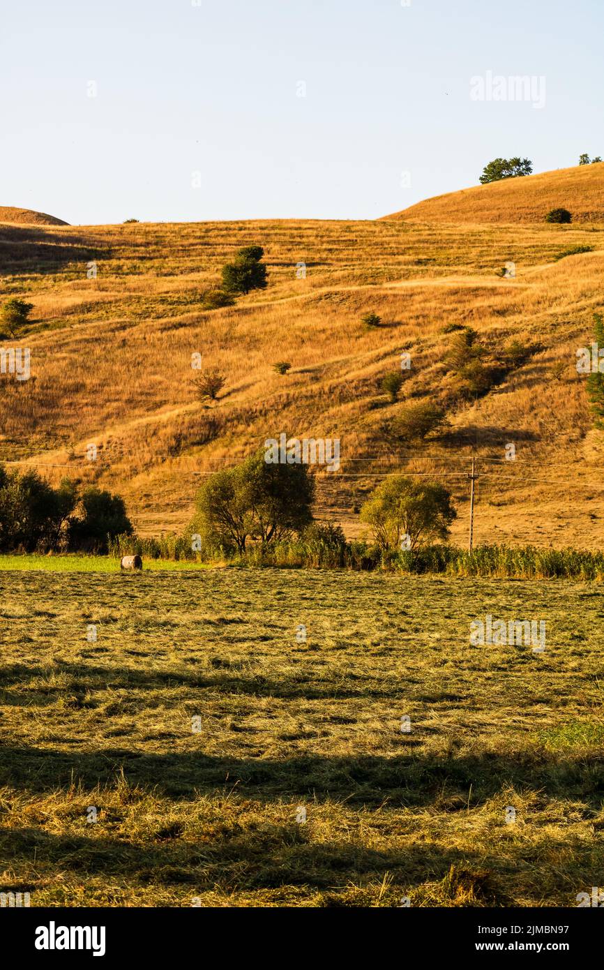 Golden hay bales. Agricultural parcels of different crops and hay roll ...