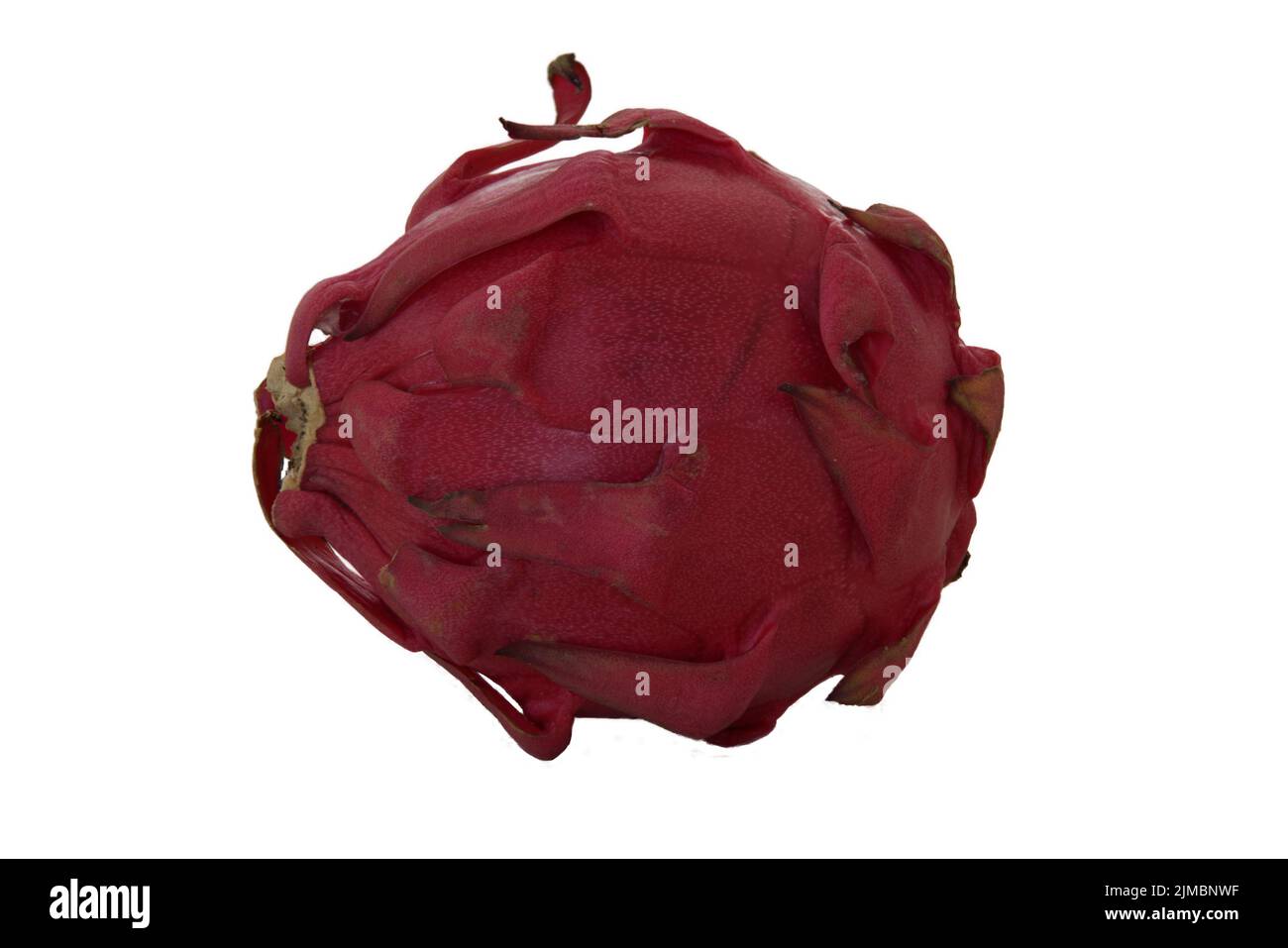 single red dragon fruit, white background Stock Photo - Alamy