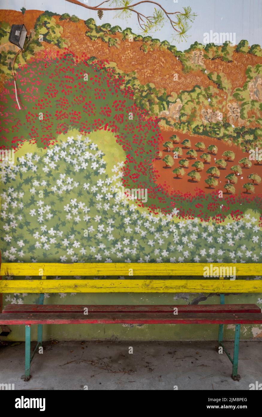 brightly painted wooden park bench in front of a wall painted with ...