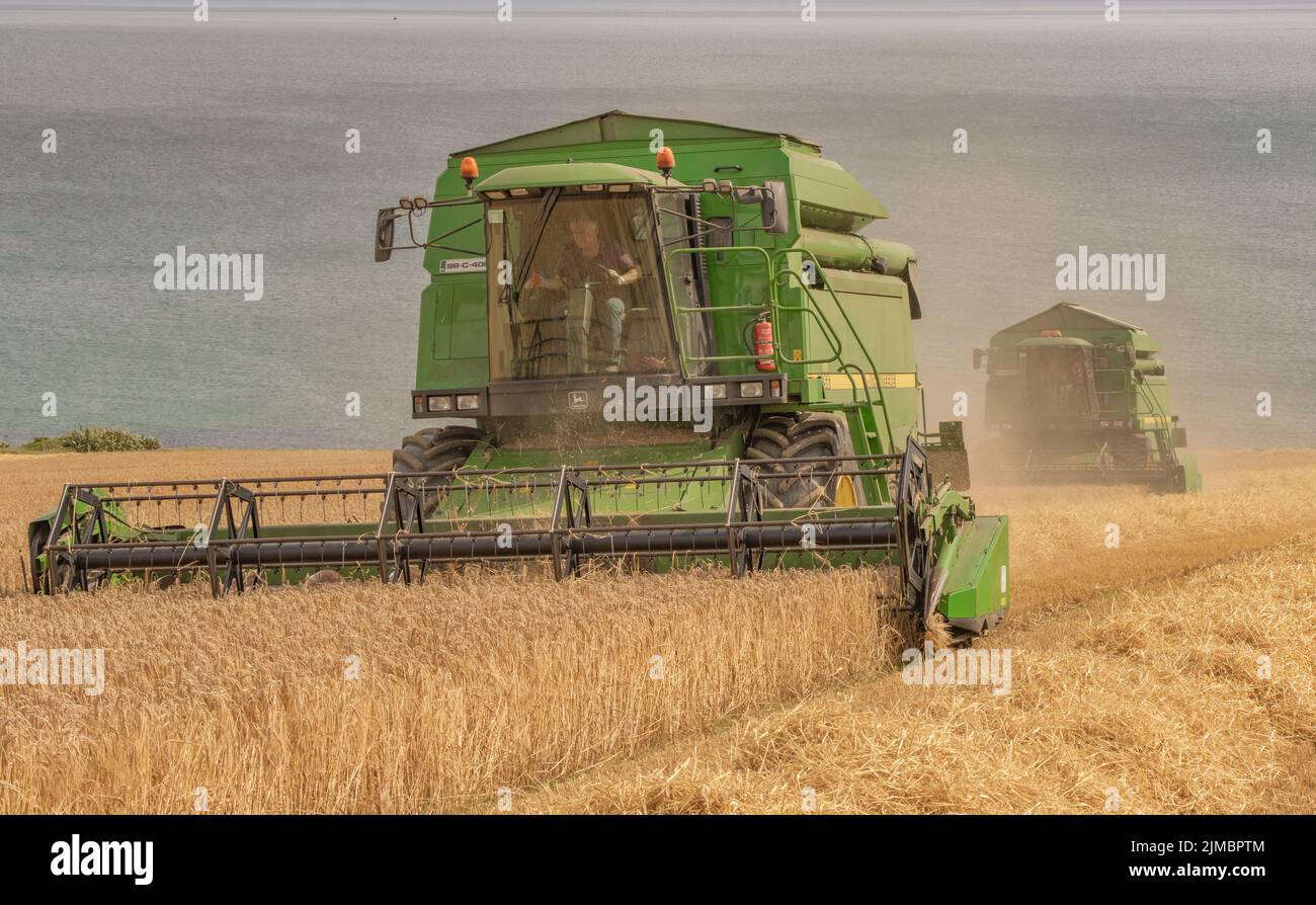 Spring Barley Harvest, Garretstown, Co. Cork Stock Photo - Alamy