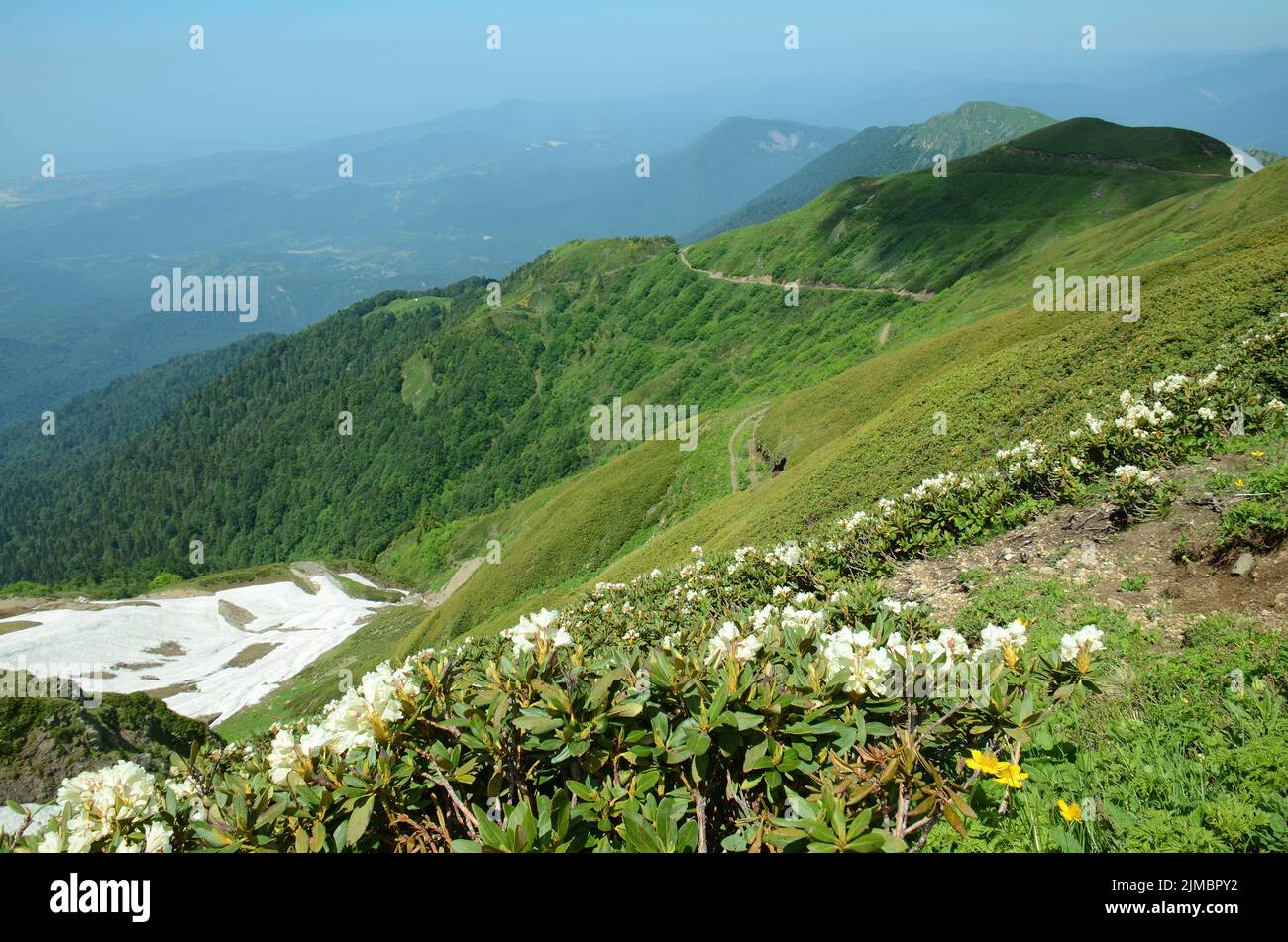 Highland discovery hi-res stock photography and images - Alamy