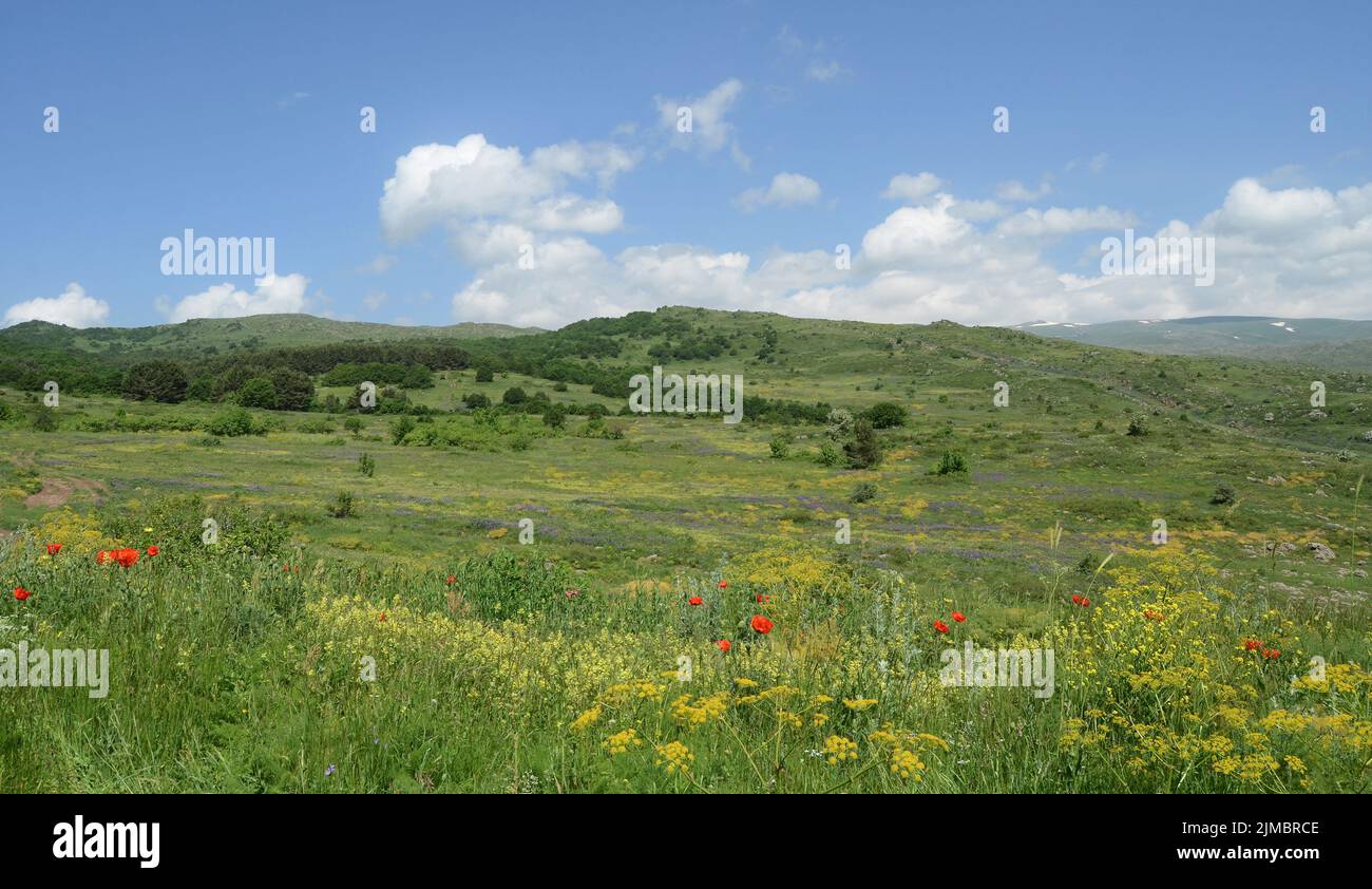 Beautiful landscape with green mountains and magnificent cloudy sky in ...