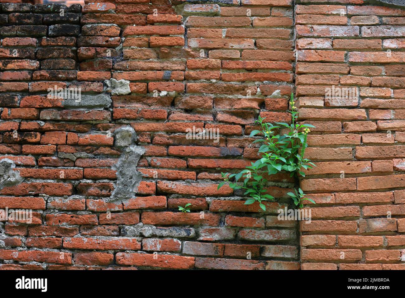 decay old red brick wall, wide panorama of masonry, bricklaying, old ...