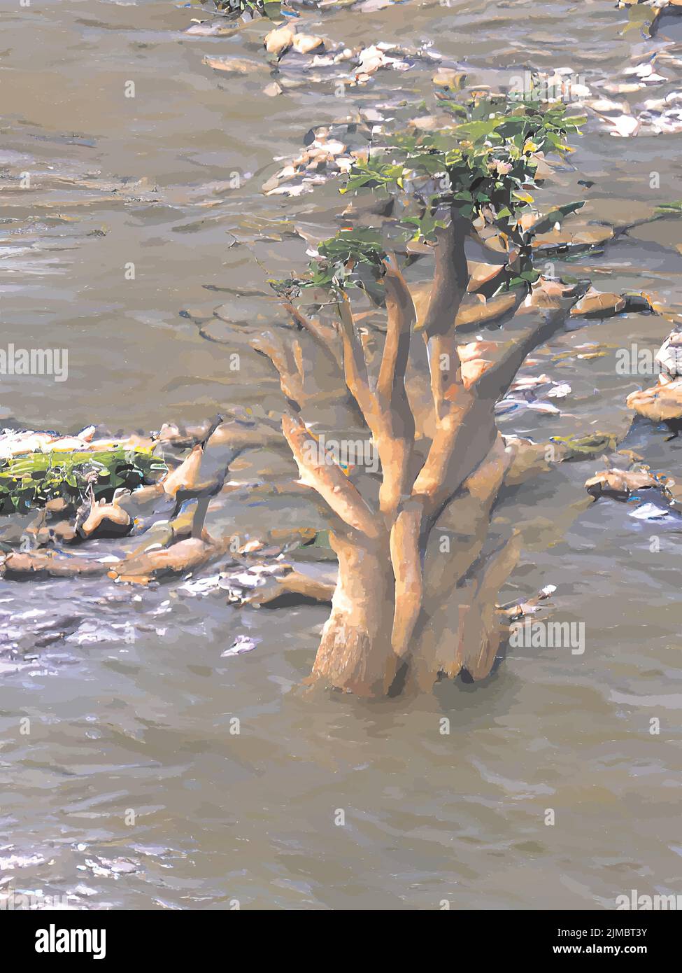 River shore trees Stock Vector Images - Alamy