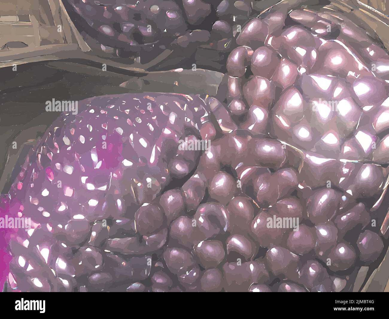 Eggs in nest basket Stock Vector Images - Alamy