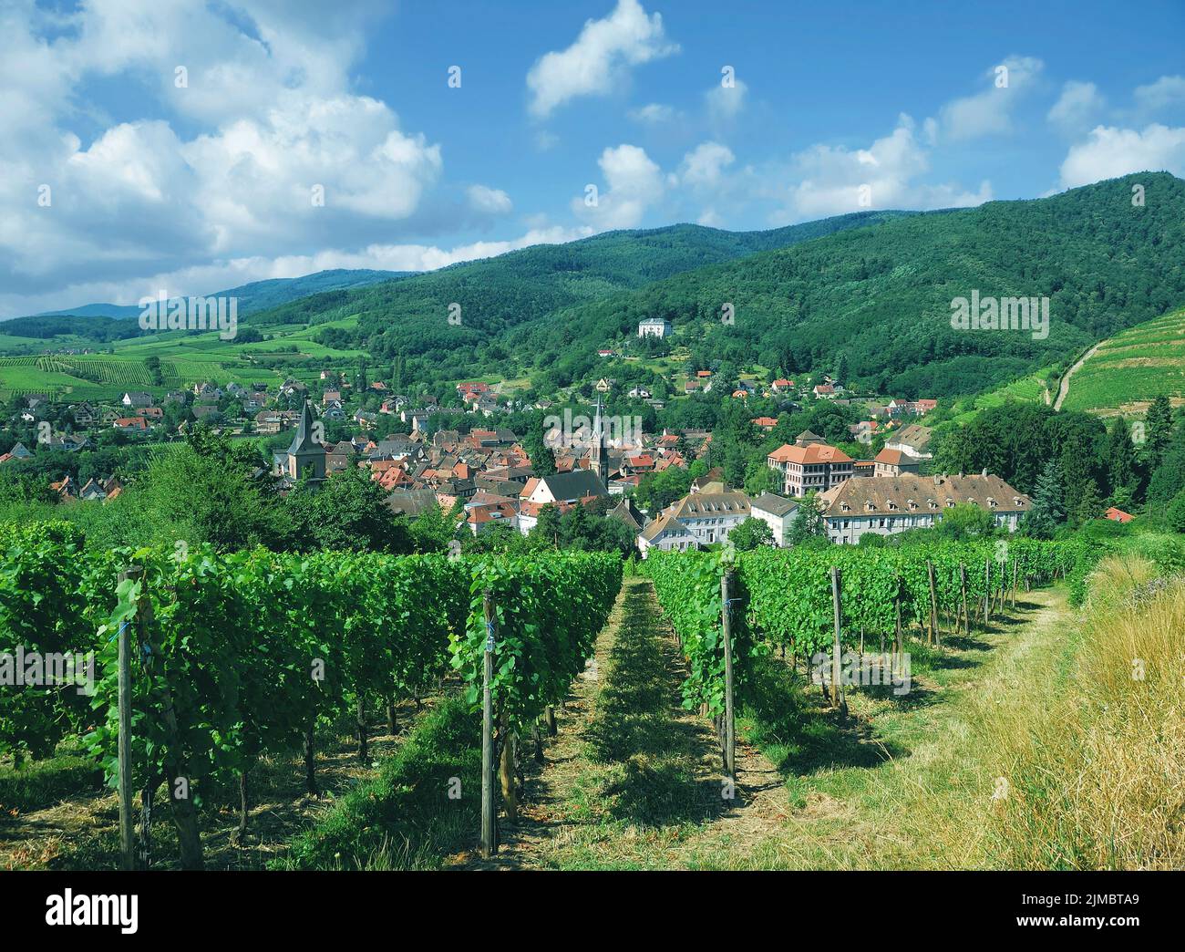 Region of alsace hi-res stock photography and images - Alamy