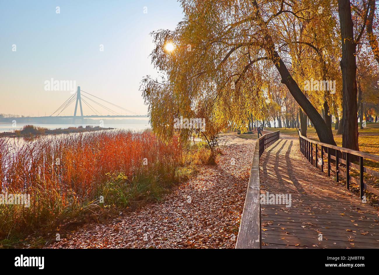 Enjoy the bright sunrise, seen through the branches of the spread ...