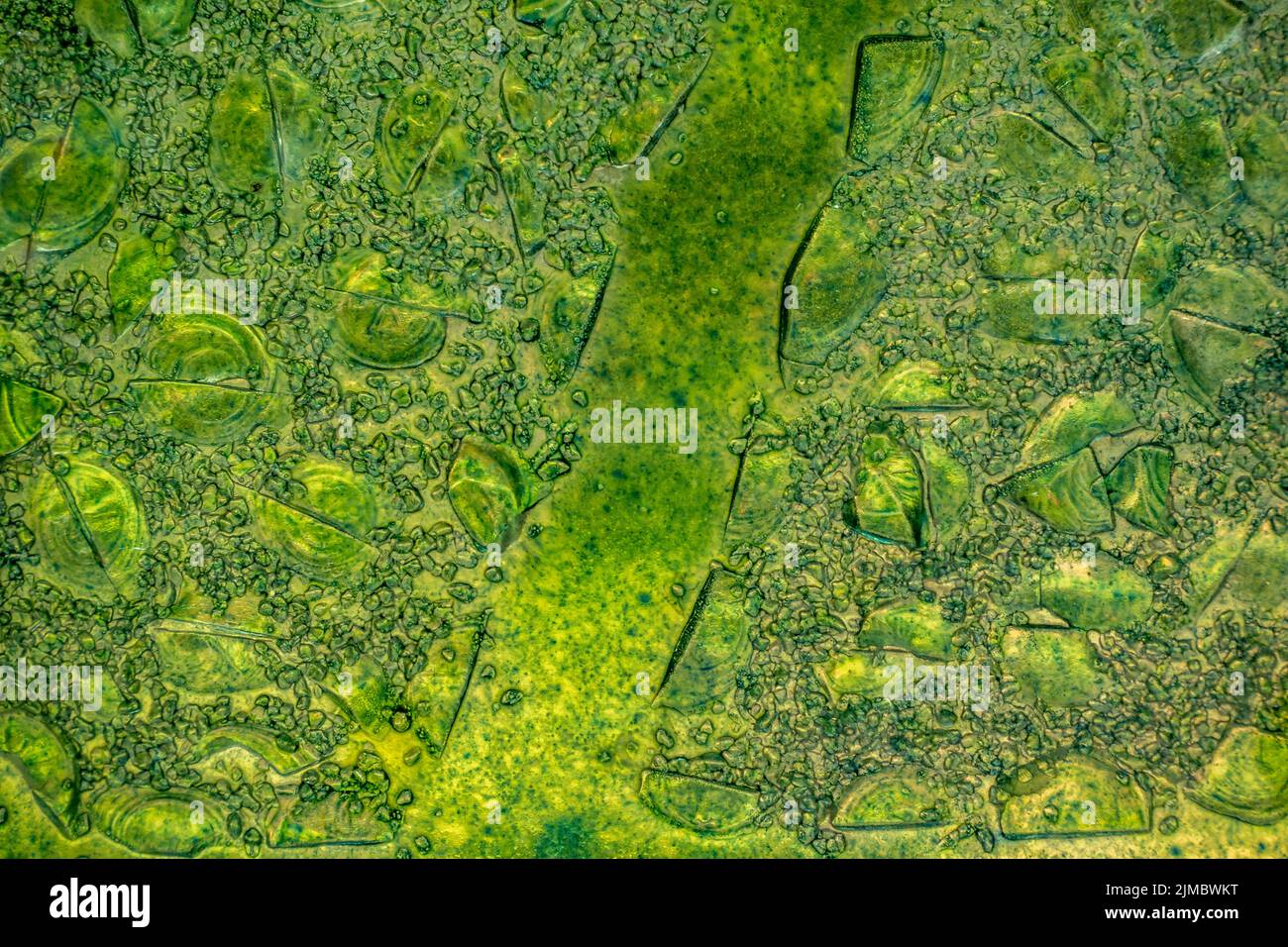 Green stained glass window texture background Stock Photo - Alamy