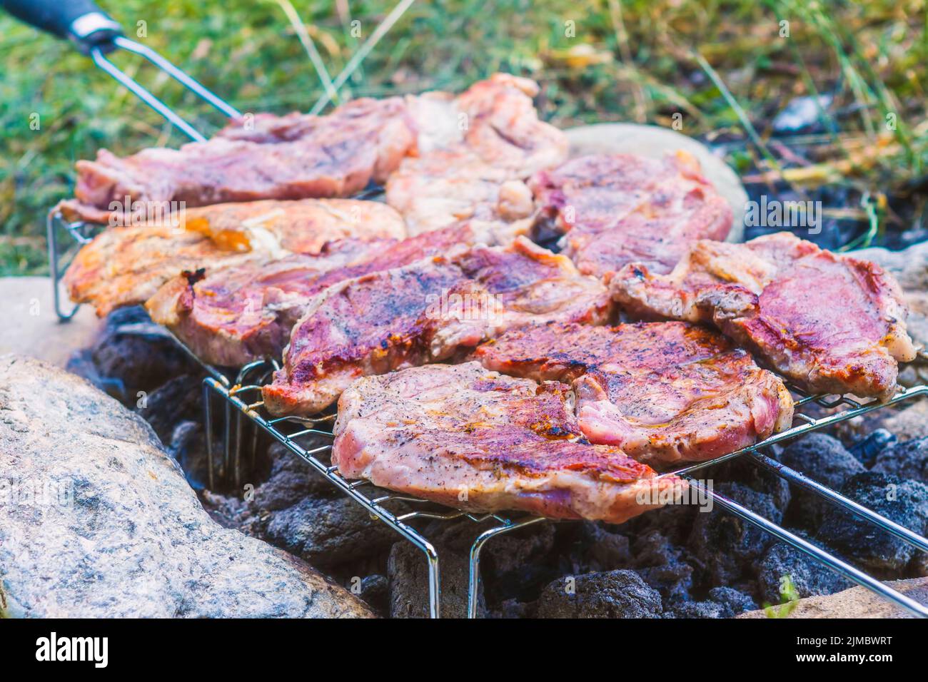 Barbecue cooking outdoor in forest Stock Photo - Alamy