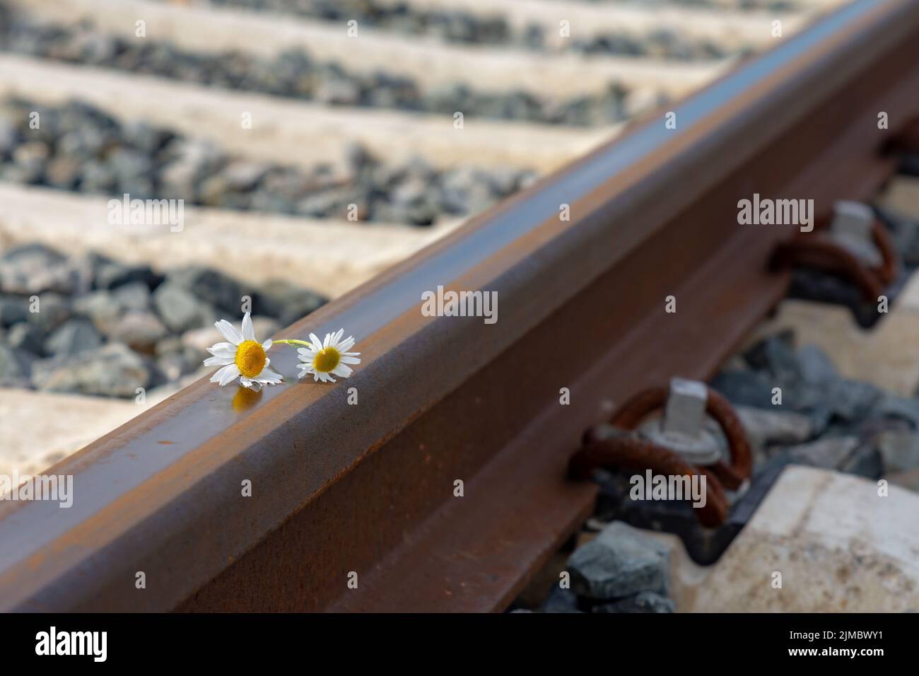 Train rail hi-res stock photography and images - Alamy