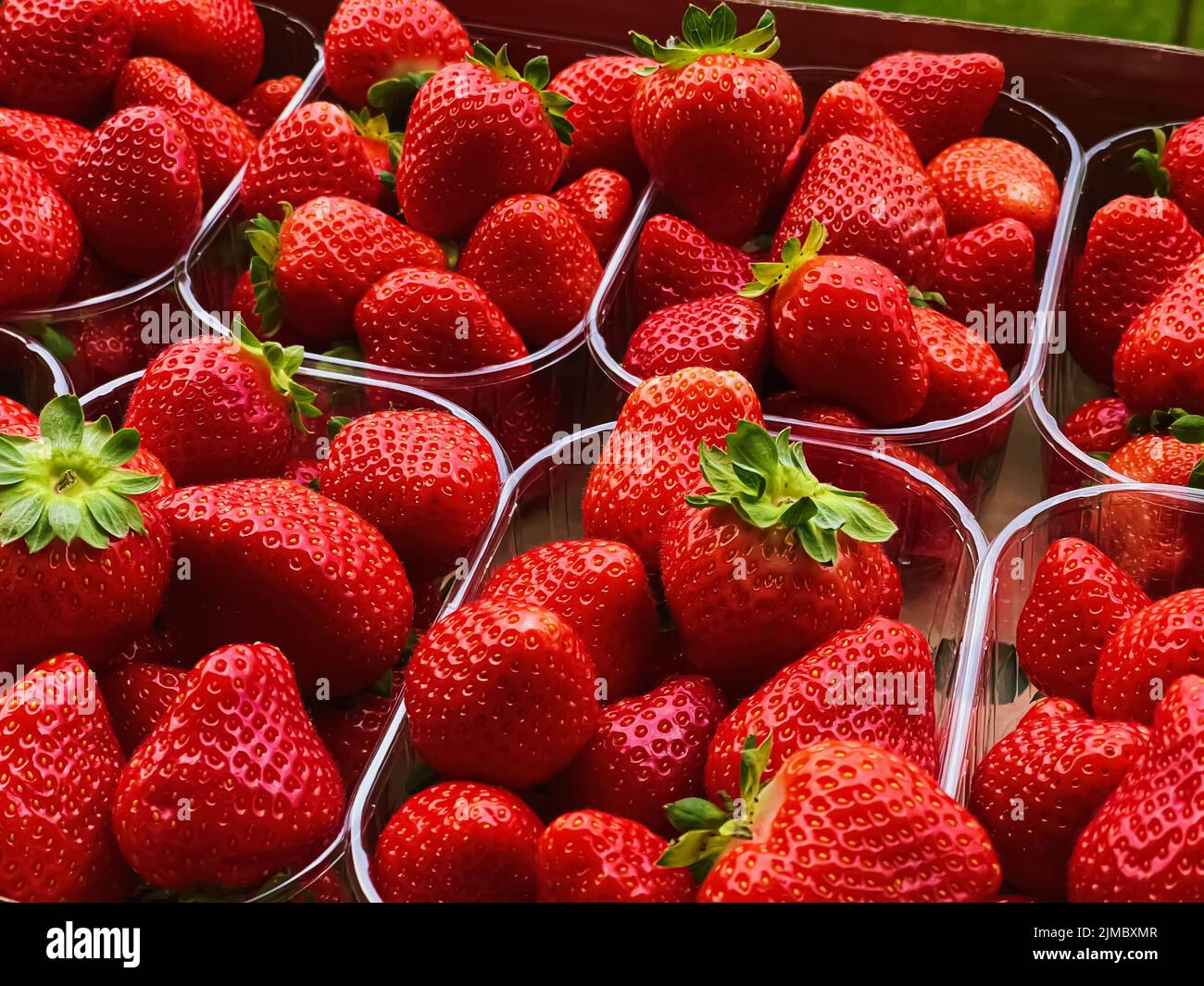 Strawberries packaged in box, sweet ripe perfect strawberry harvest ...