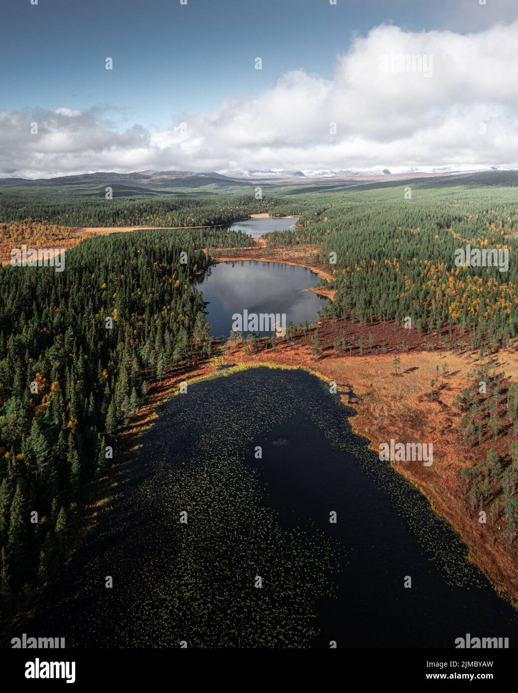 A vertical aerial shot of three lakes in north of Sweden Stock Photo ...