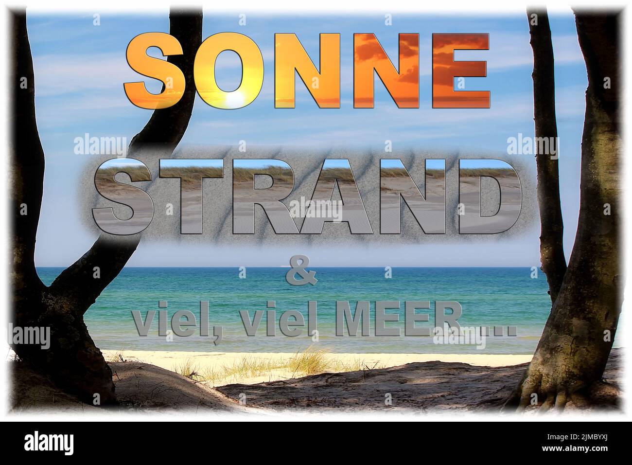 Beach sea dune landscape Cut Out Stock Images & Pictures - Alamy