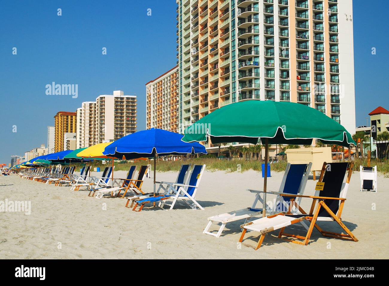 Umbrellas and beach chairs are arranged in a row on the sand on Myrtle ...