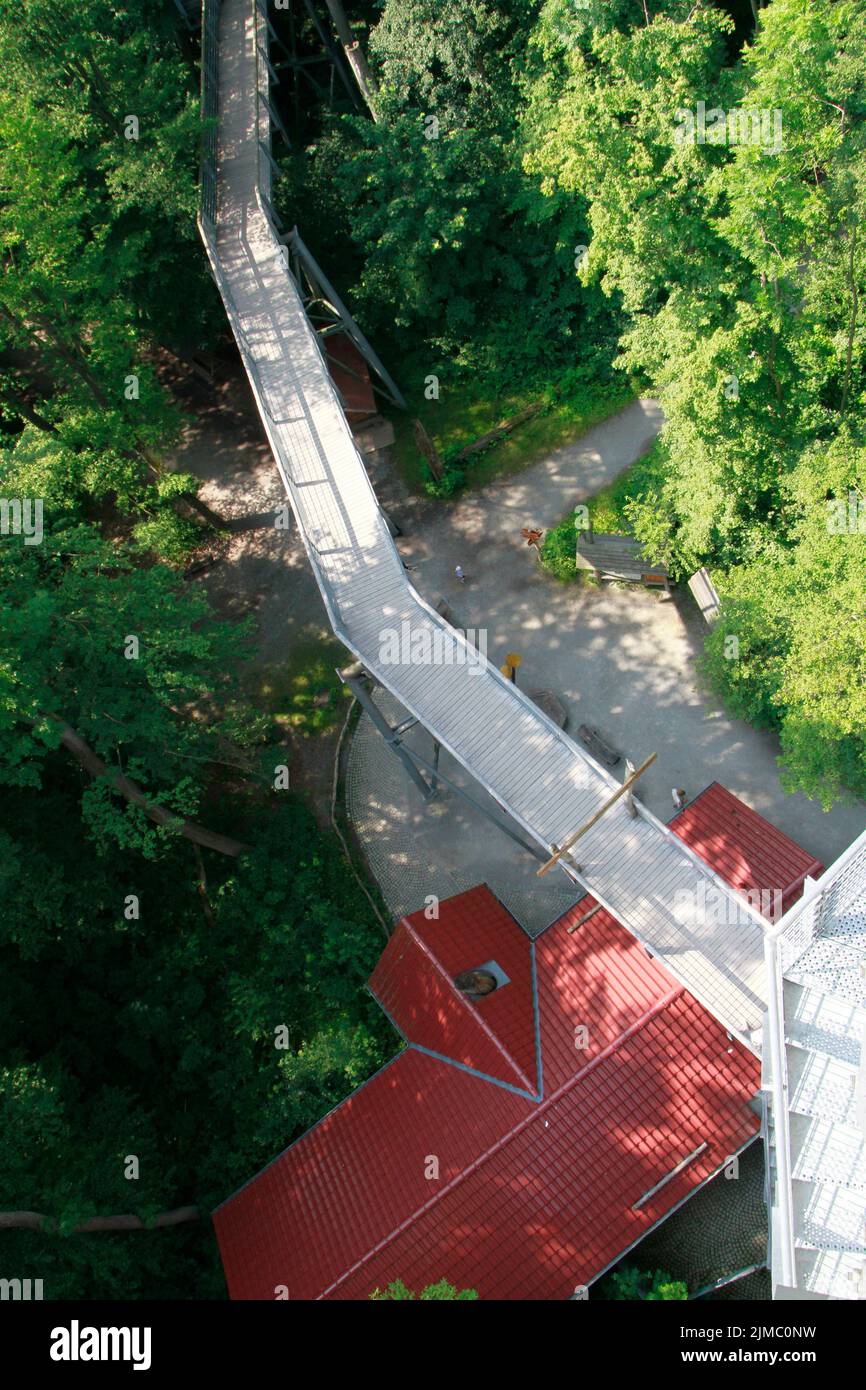 Tree roof path Hainich, UNESCO World Heritage Site, Thuringia, Germany ...
