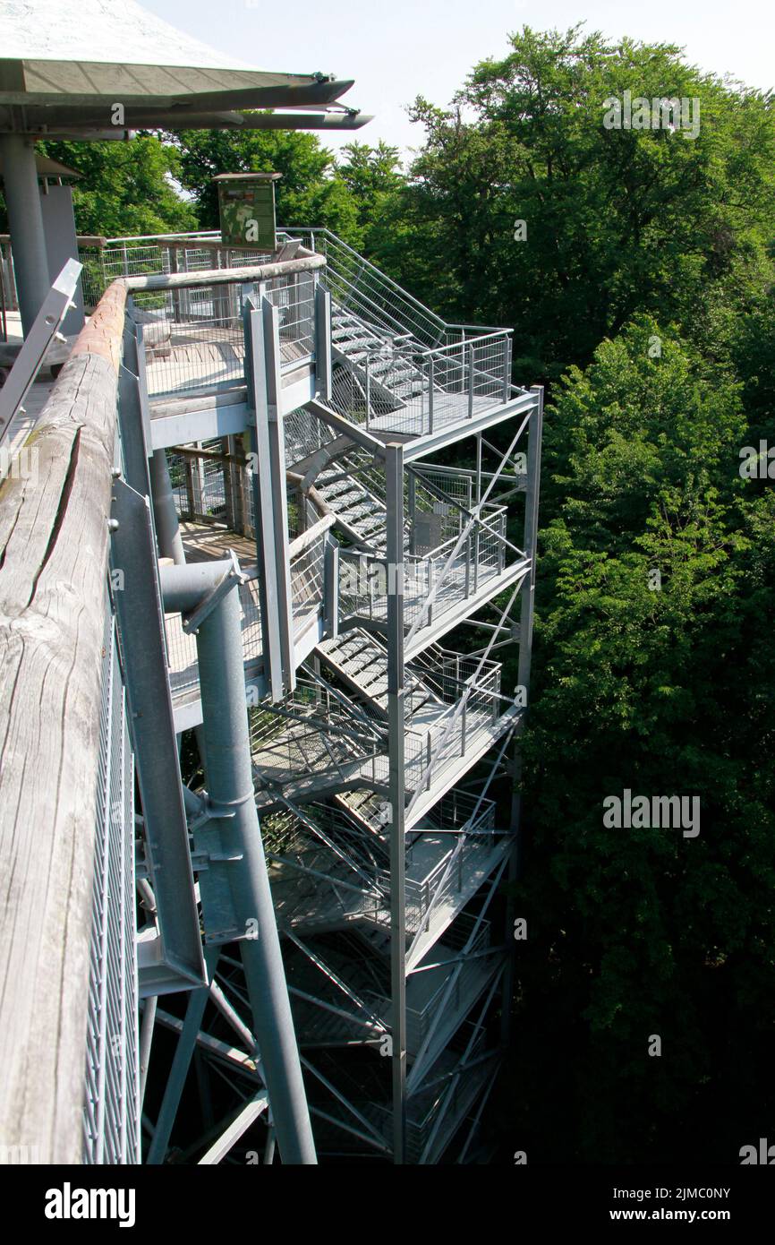 Tree roof path Hainich, UNESCO World Heritage Site, Thuringia, Germany ...