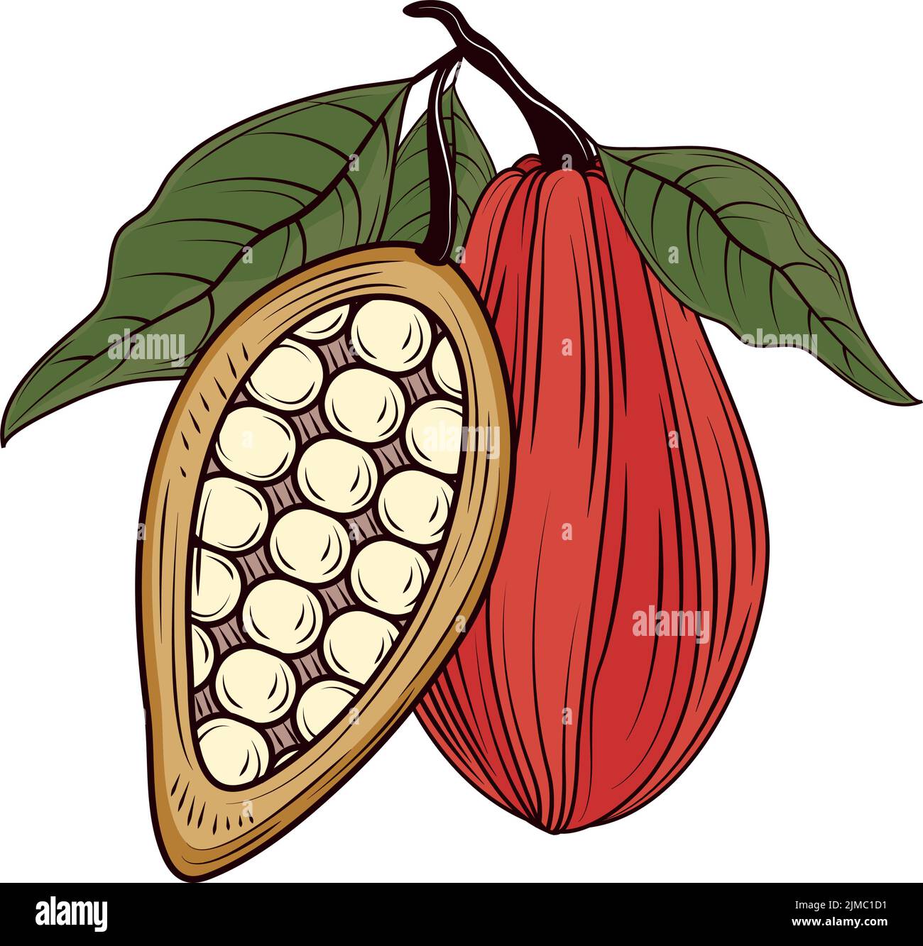 cacao pod icon Stock Vector Image & Art - Alamy