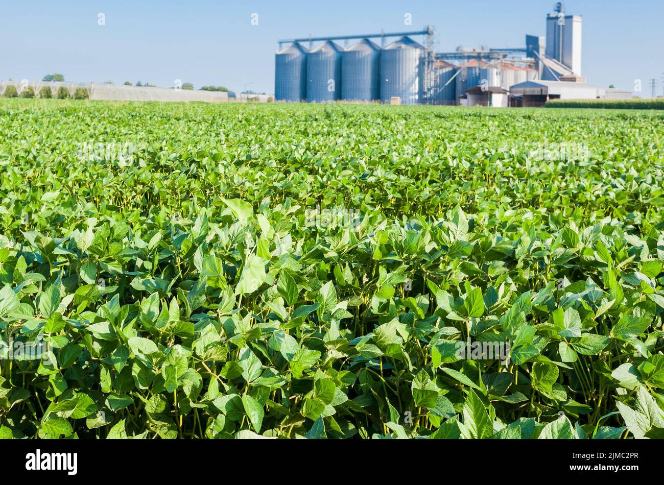 Soybean factory hi-res stock photography and images - Alamy
