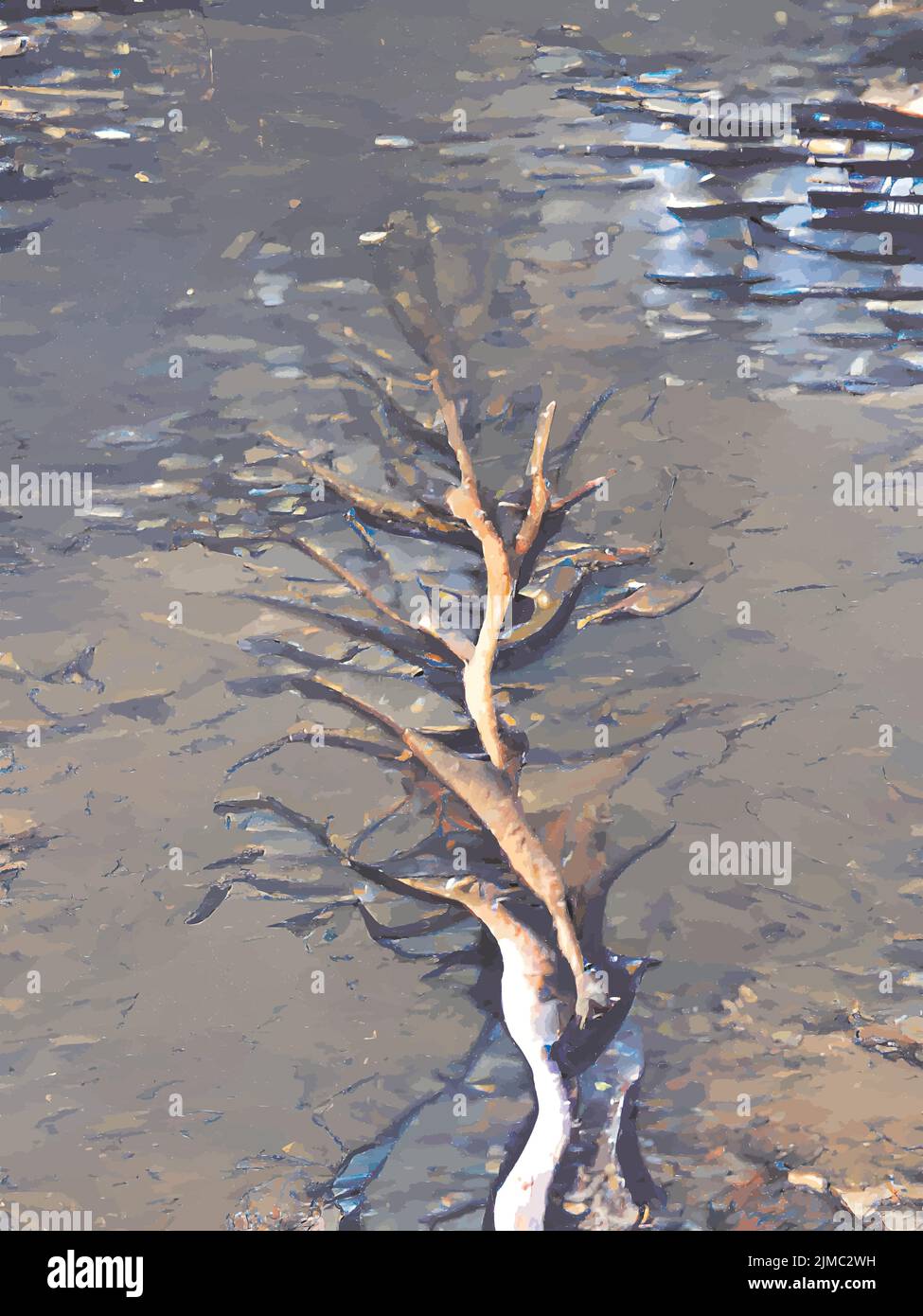 abstract tree at a river Stock Vector Image & Art - Alamy