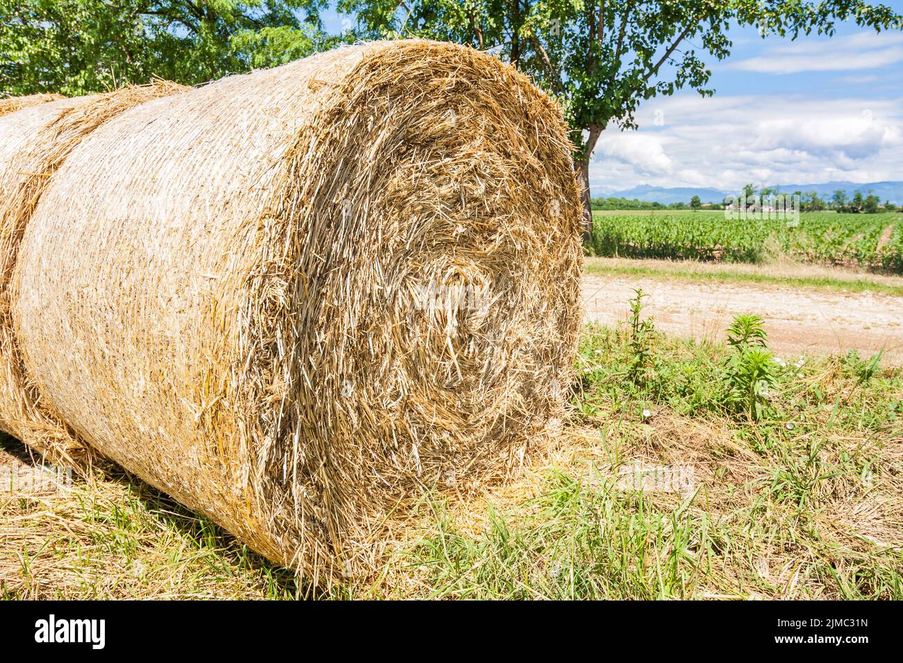 Country barn round bales hay hi-res stock photography and images - Alamy