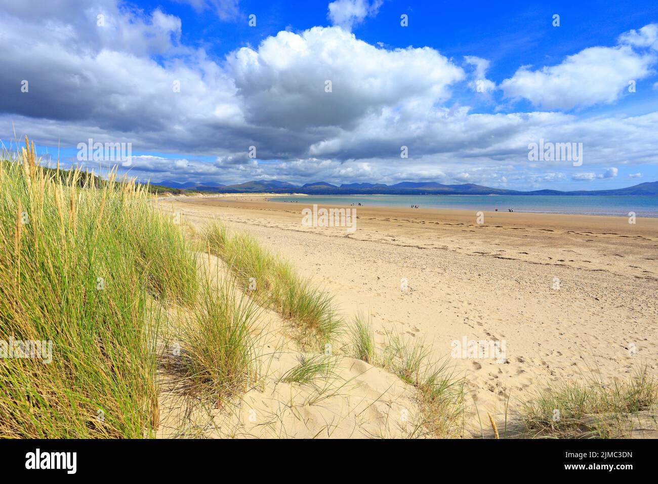 Newborough Forest sand dunes and storm clouds over Snowdonia, Llanddwyn ...