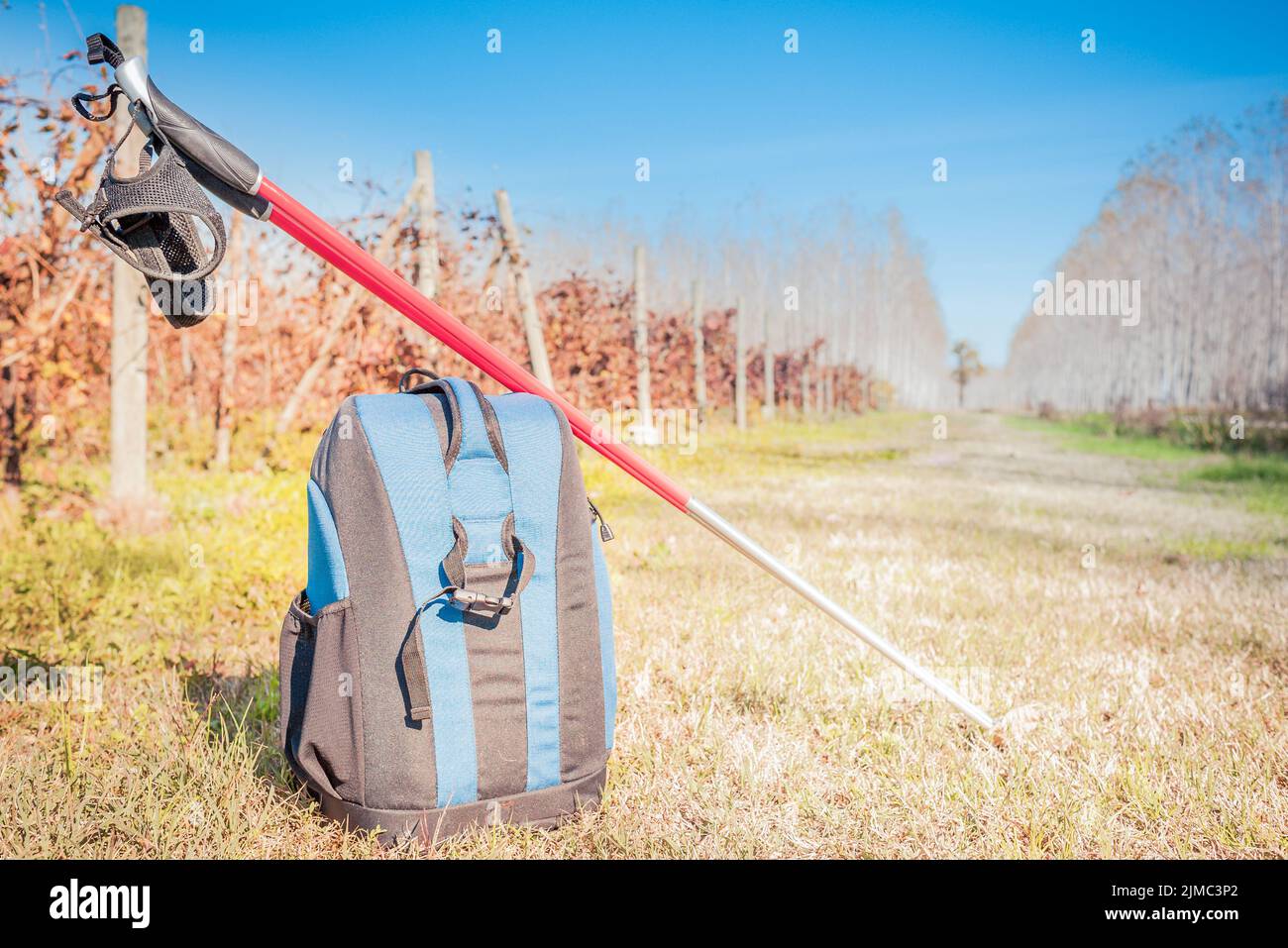 Nordic walking equipment hi-res stock photography and images - Alamy