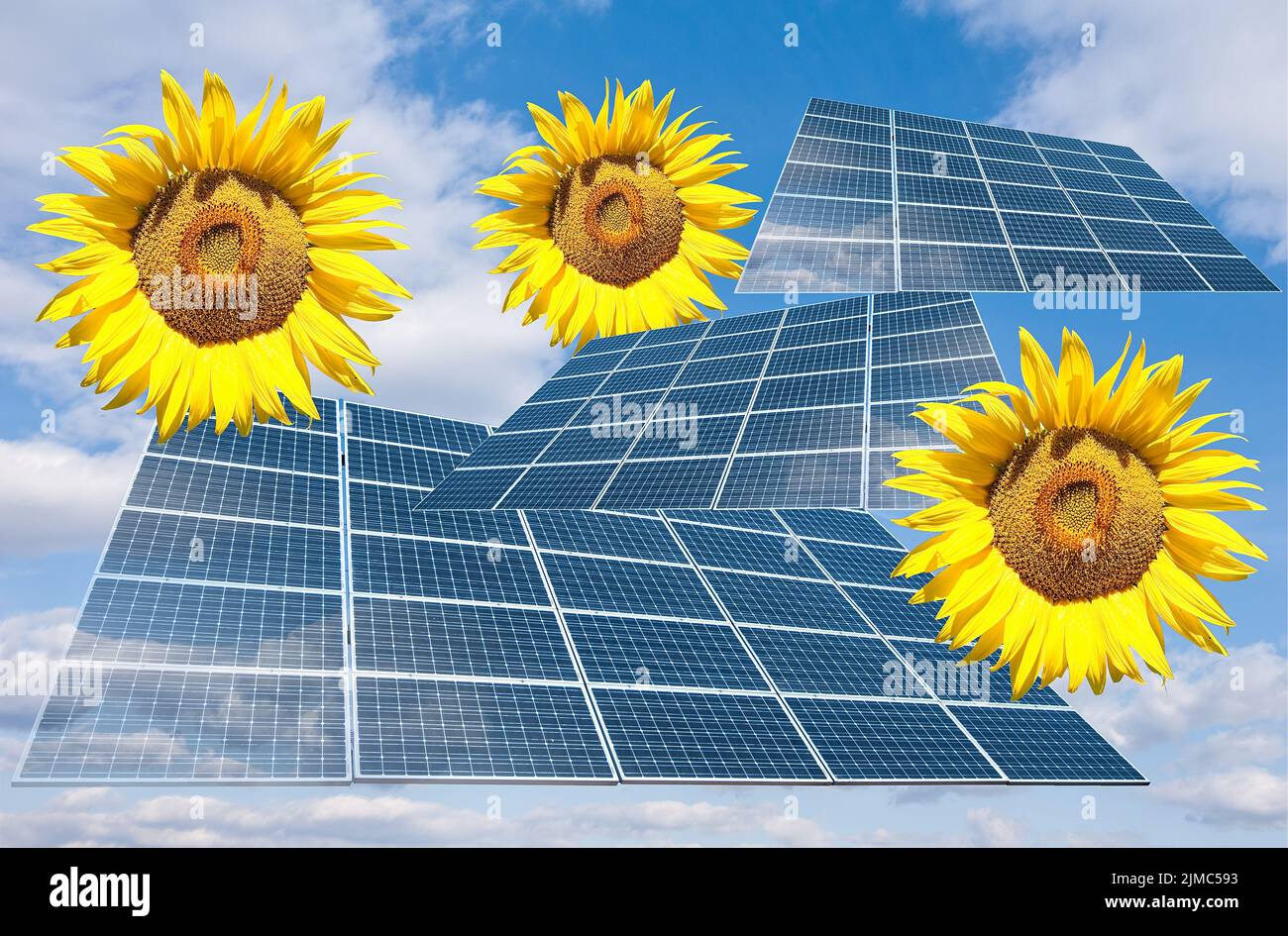 Solar panels and sunflower flower Stock Photo - Alamy