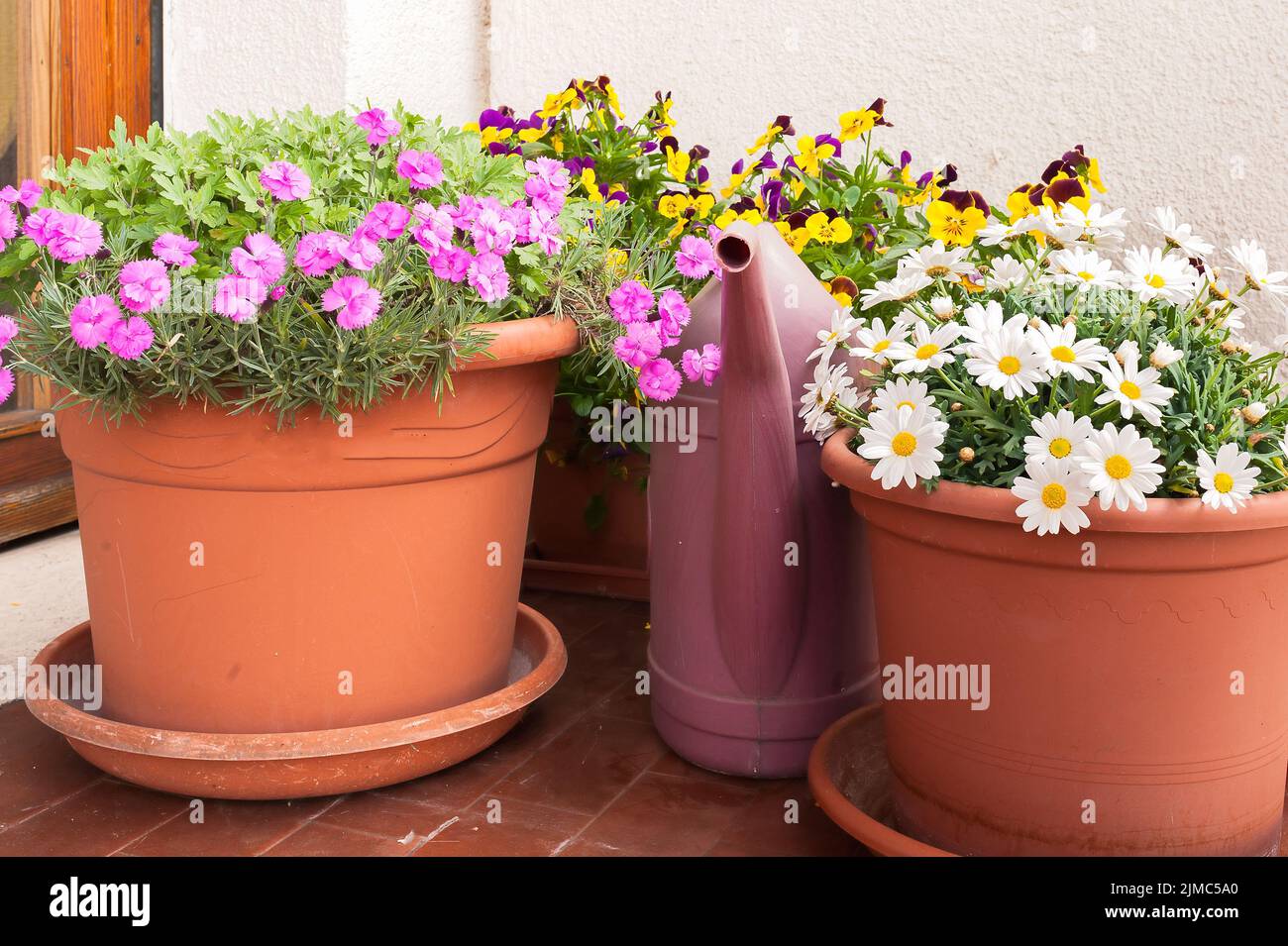 Vases of flowers hi-res stock photography and images - Alamy