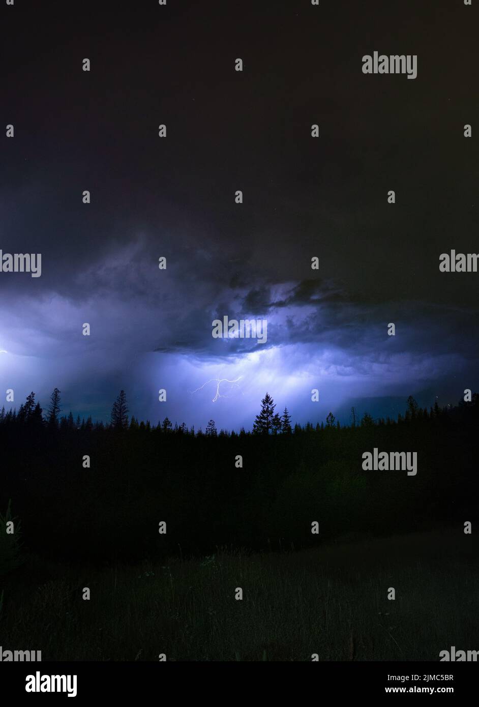 A vertical shot of the lightning bolt at night Stock Photo - Alamy