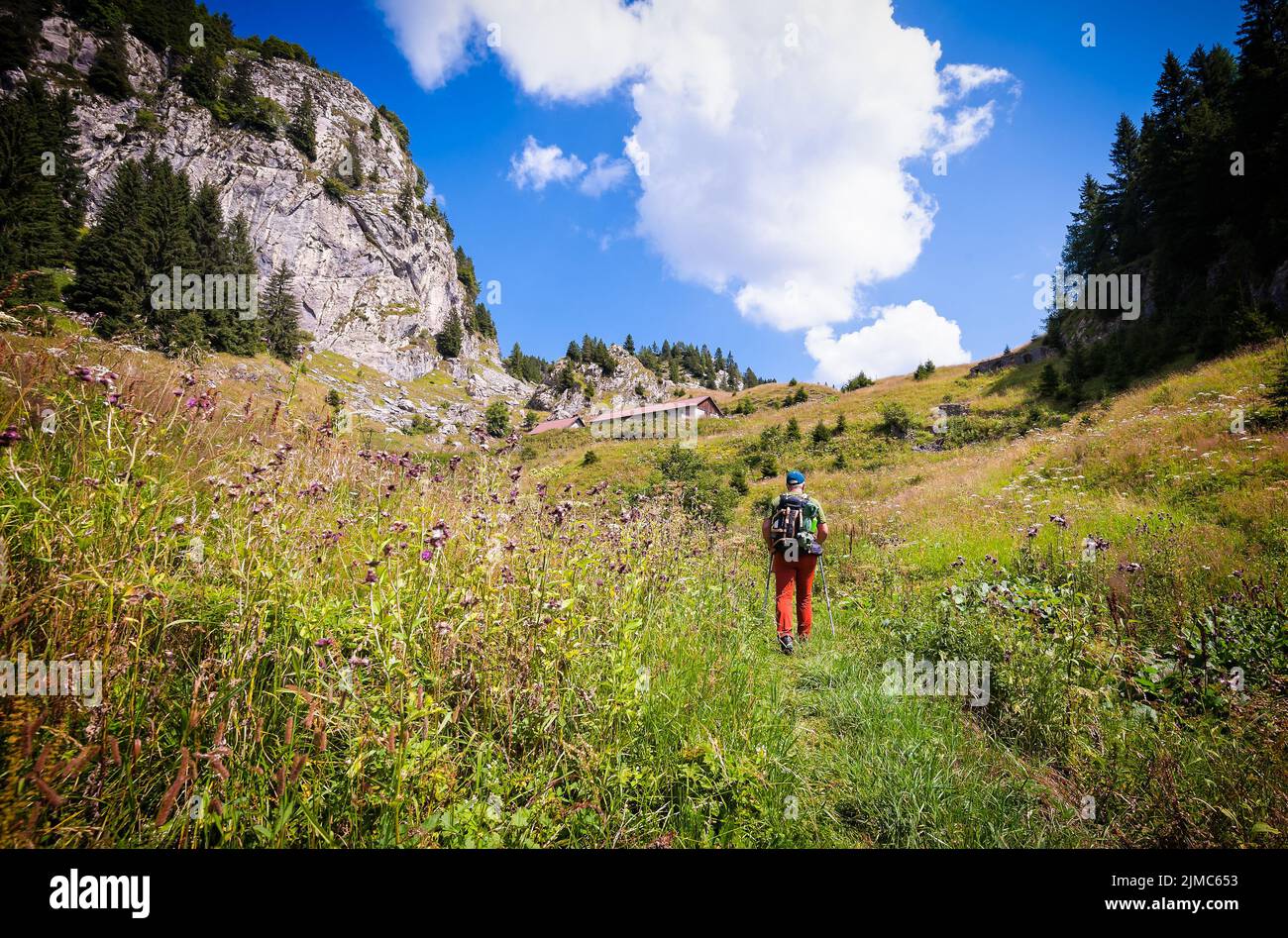 Hiking man on meadow hi-res stock photography and images - Alamy
