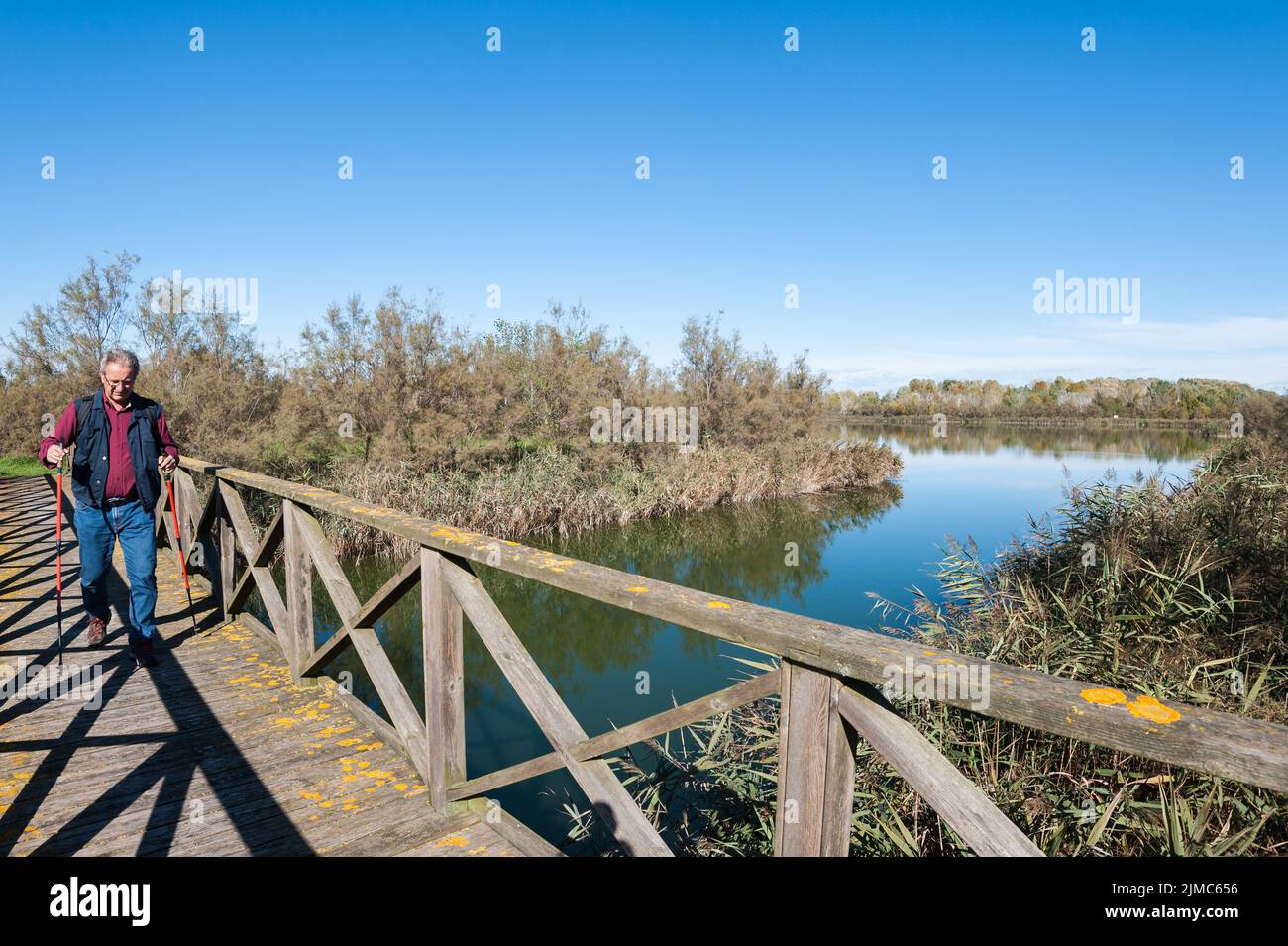 Hiker (60 years old) on a wooden footbridge Stock Photo - Alamy