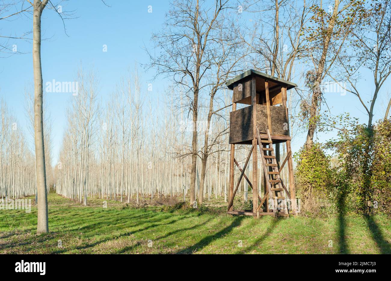 Raised shed hunting for deer Stock Photo - Alamy