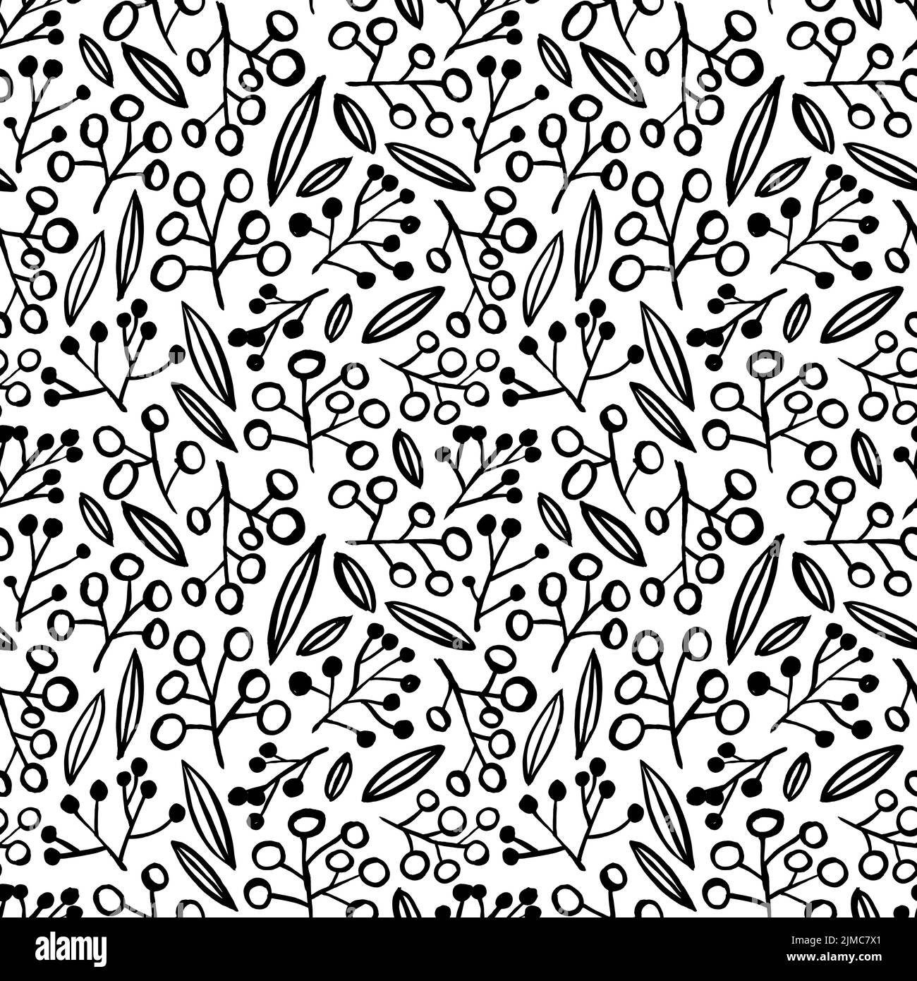 Holly leaves berries line Stock Vector Images - Alamy