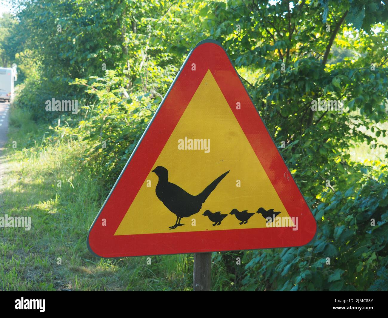 Pheasant, road sign Stock Photo - Alamy