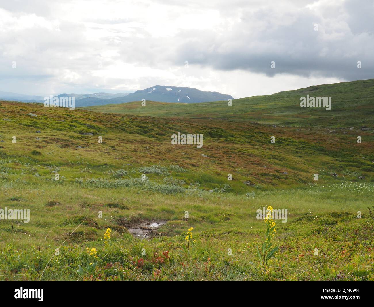 Fja ll hi-res stock photography and images - Alamy