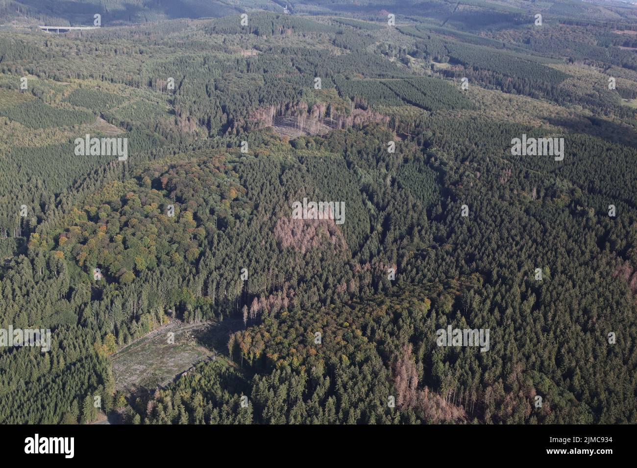 Affected hi-res stock photography and images - Alamy