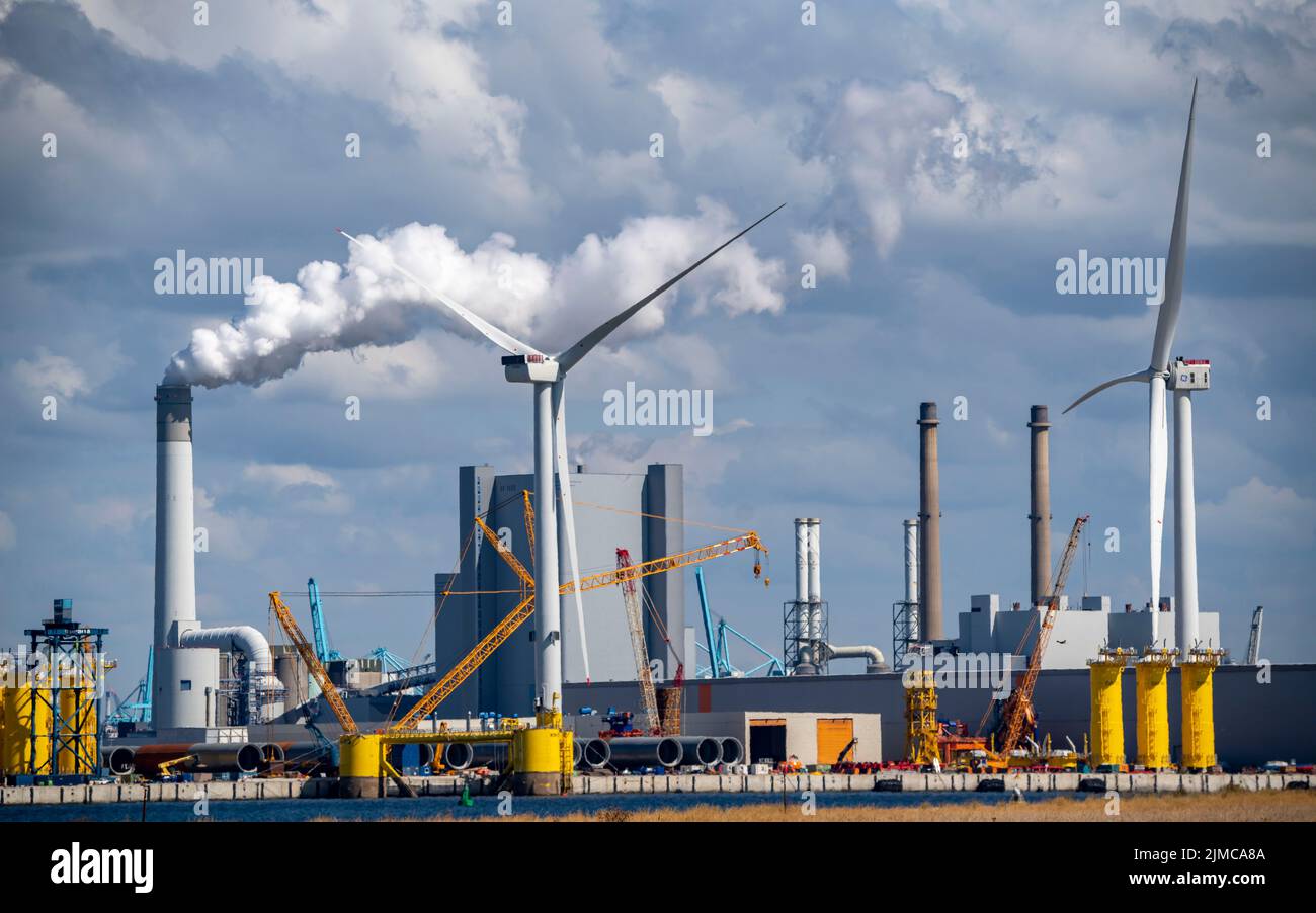 SIF Offshore Foundaitons, production of foundations for offshore wind ...