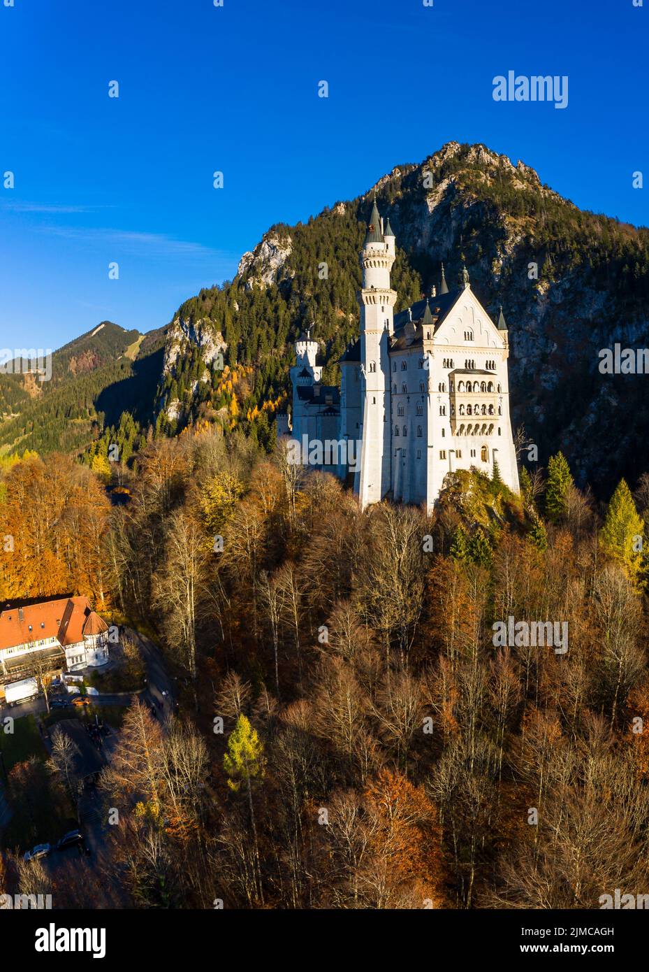 Aerial view, Neuschwanstein Castle, Forggensee, Schwangau, OstallgÃ¤u ...