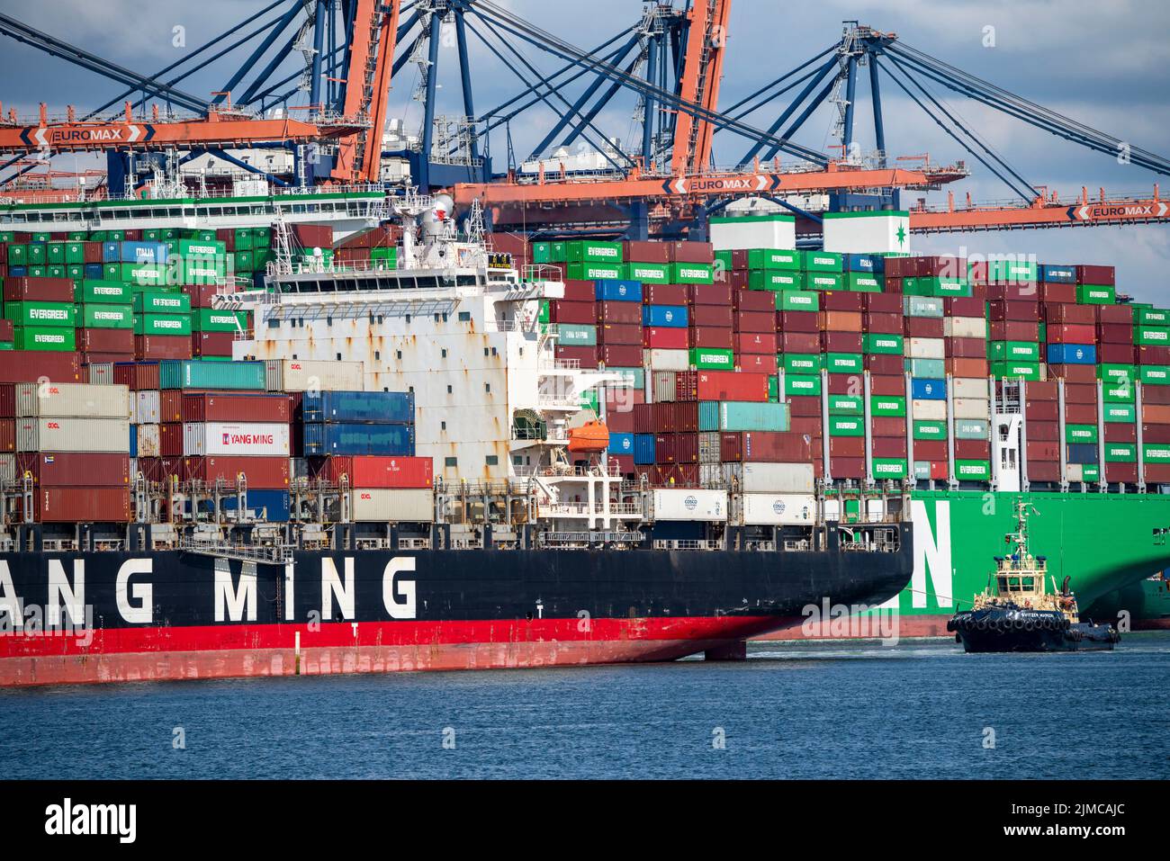 Europoort, Port of Rotterdam, Yang Ming shipping company container ...