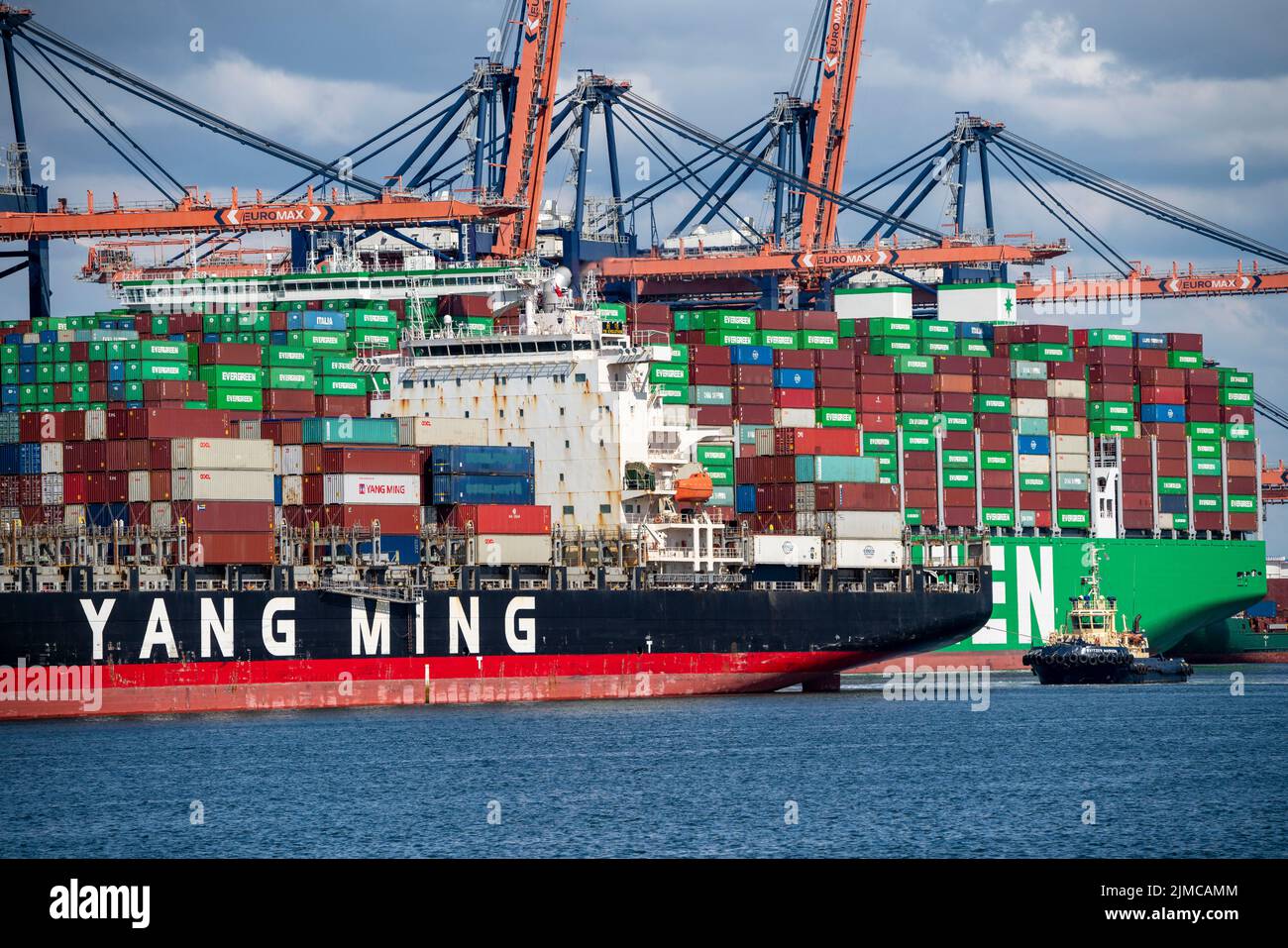 Europoort, Port of Rotterdam, Yang Ming shipping company container ...