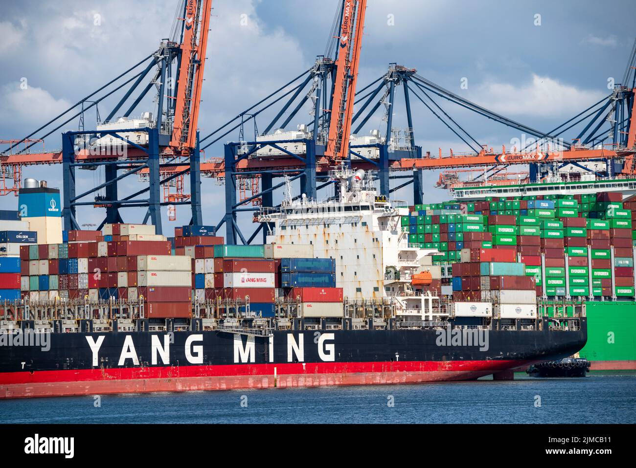 Europoort, Port of Rotterdam, Yang Ming shipping company container ...