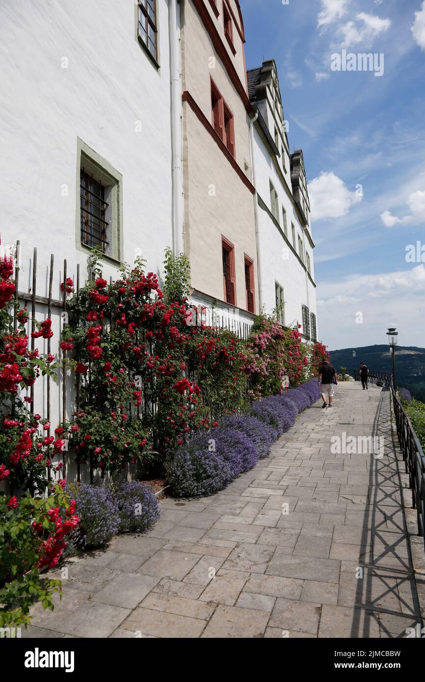 Renaissance castle of the dornburg castles hi-res stock photography and ...