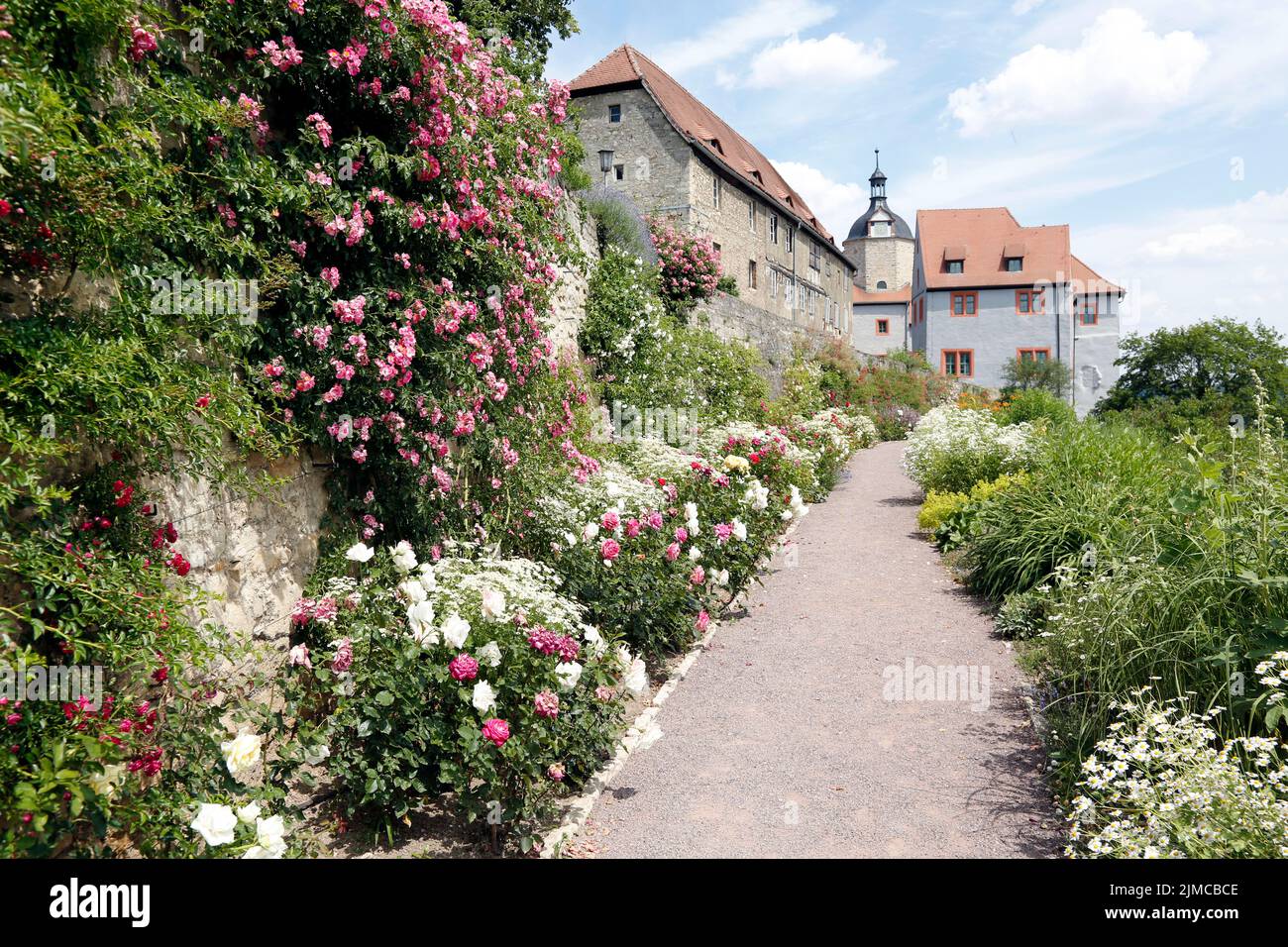 Dornburg Castles, Old Castle, Dornburg, Thuringia, Germany, Europe ...