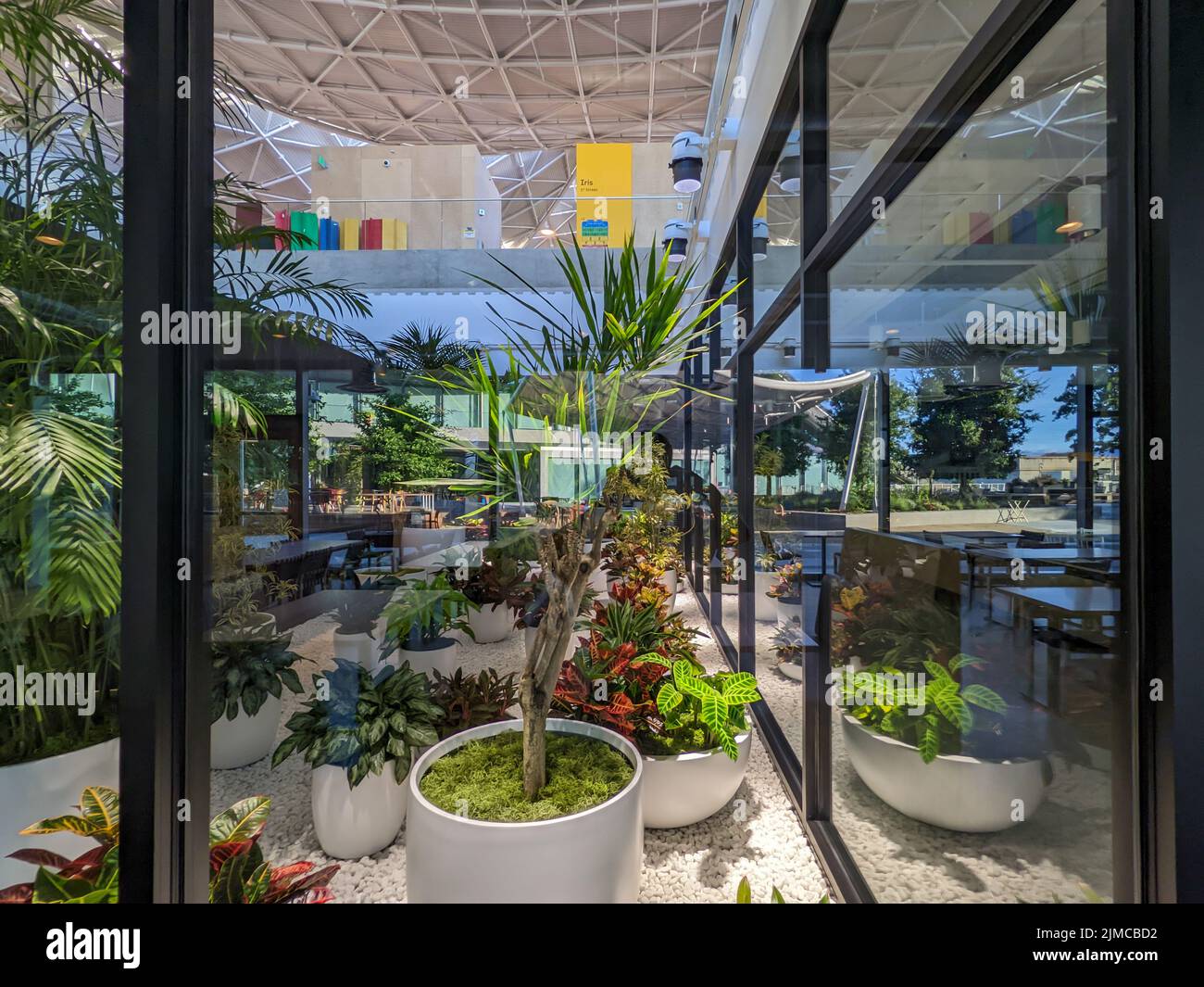 Interior view of google office hi-res stock photography and images - Alamy
