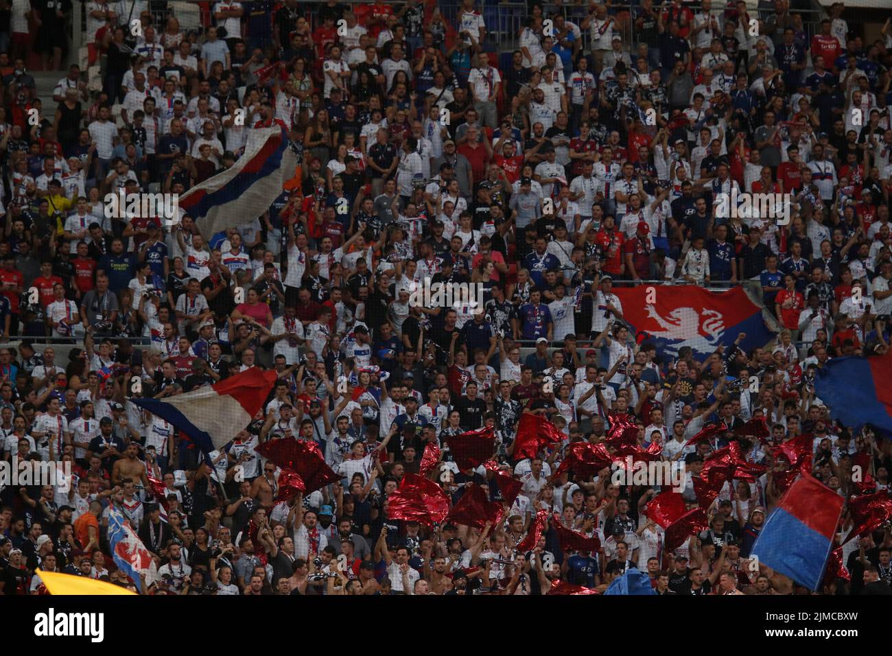 Fans of Lyon during the French championship Ligue 1 football match ...