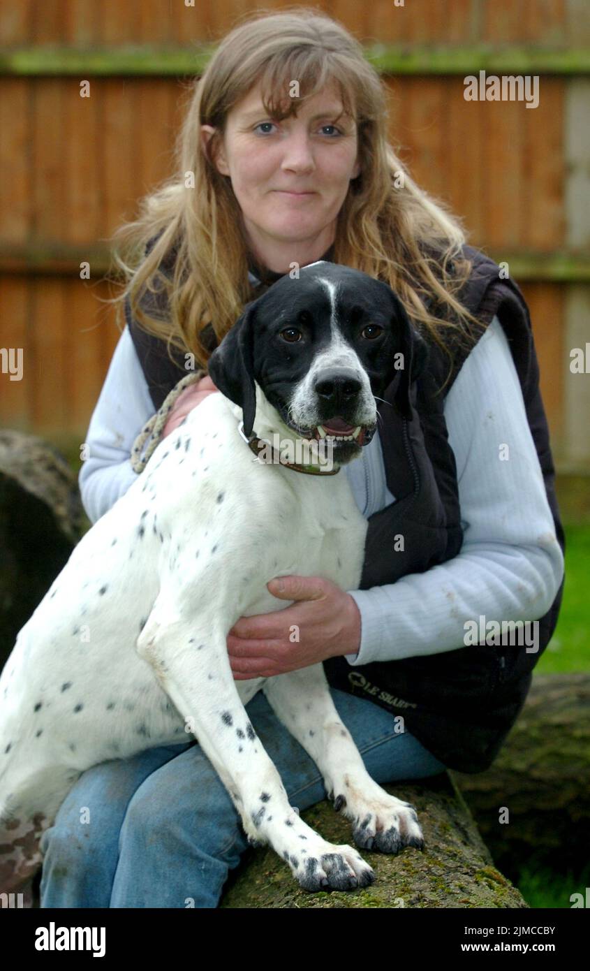 Ardley Kennels, Bicester. 'Jack' the failed sniffer dog, who has faces ...