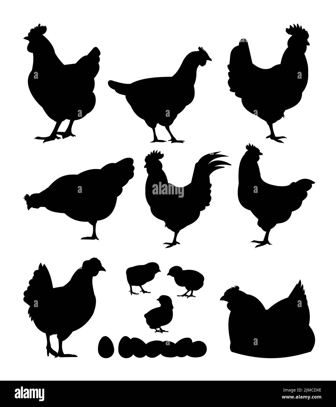 Grazing chickens Cut Out Stock Images & Pictures - Alamy