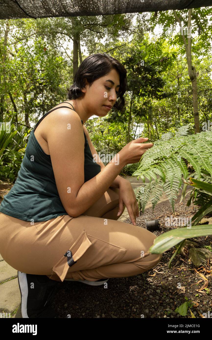 watching and holding the leaf of a natural plant in a garden, incada a ...