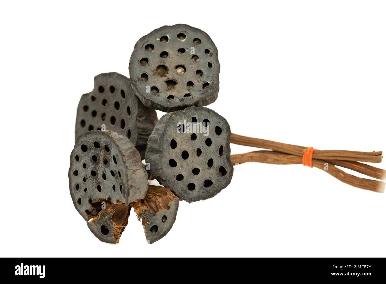 Bouquet of Black dry lotus seed isolated on white background Stock ...
