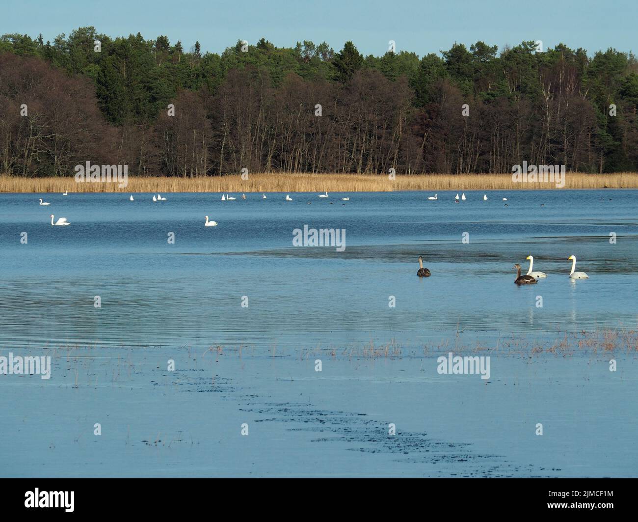 Fasta åland hi-res stock photography and images - Alamy